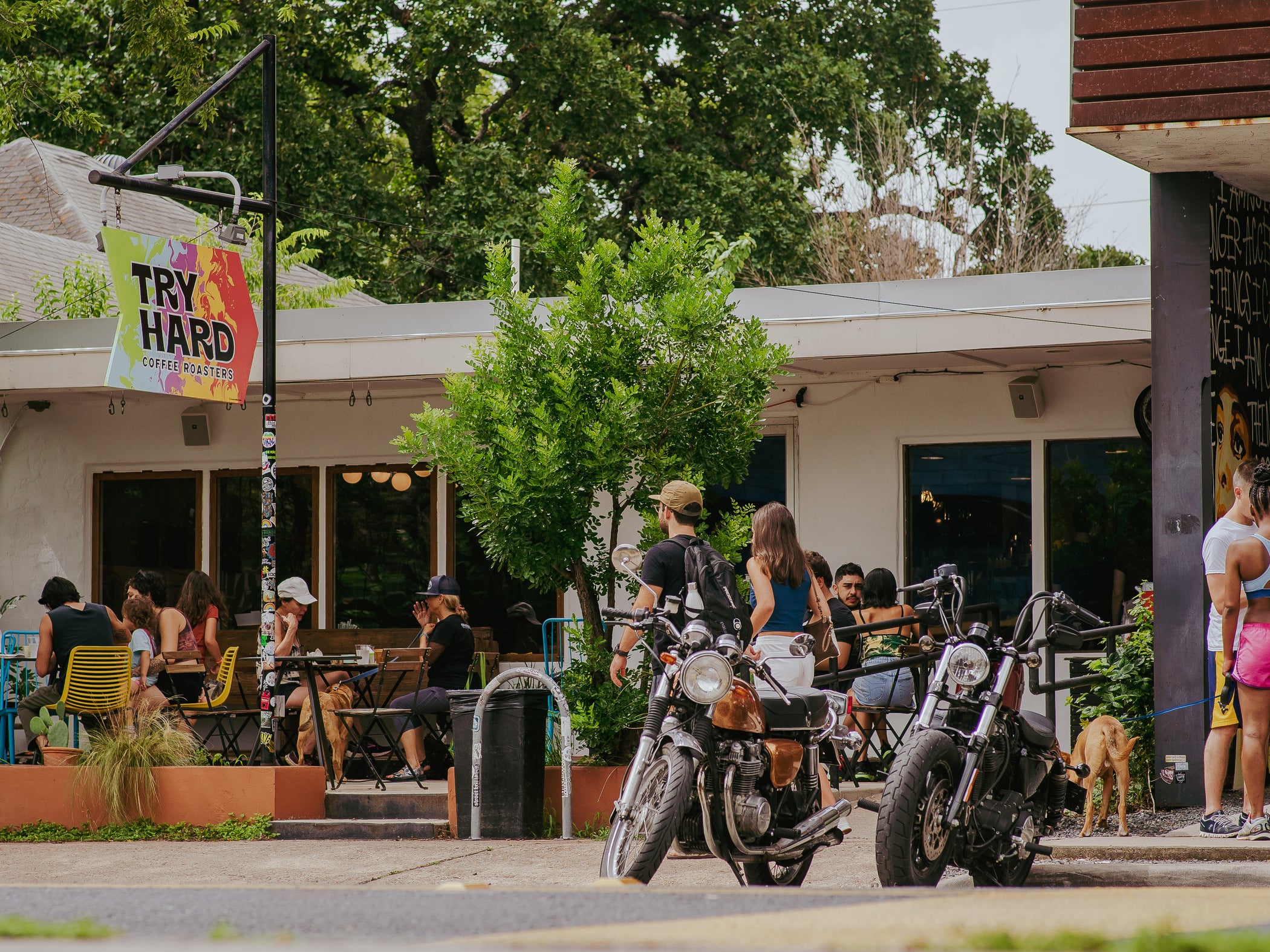 Try Hard Coffee Roasters